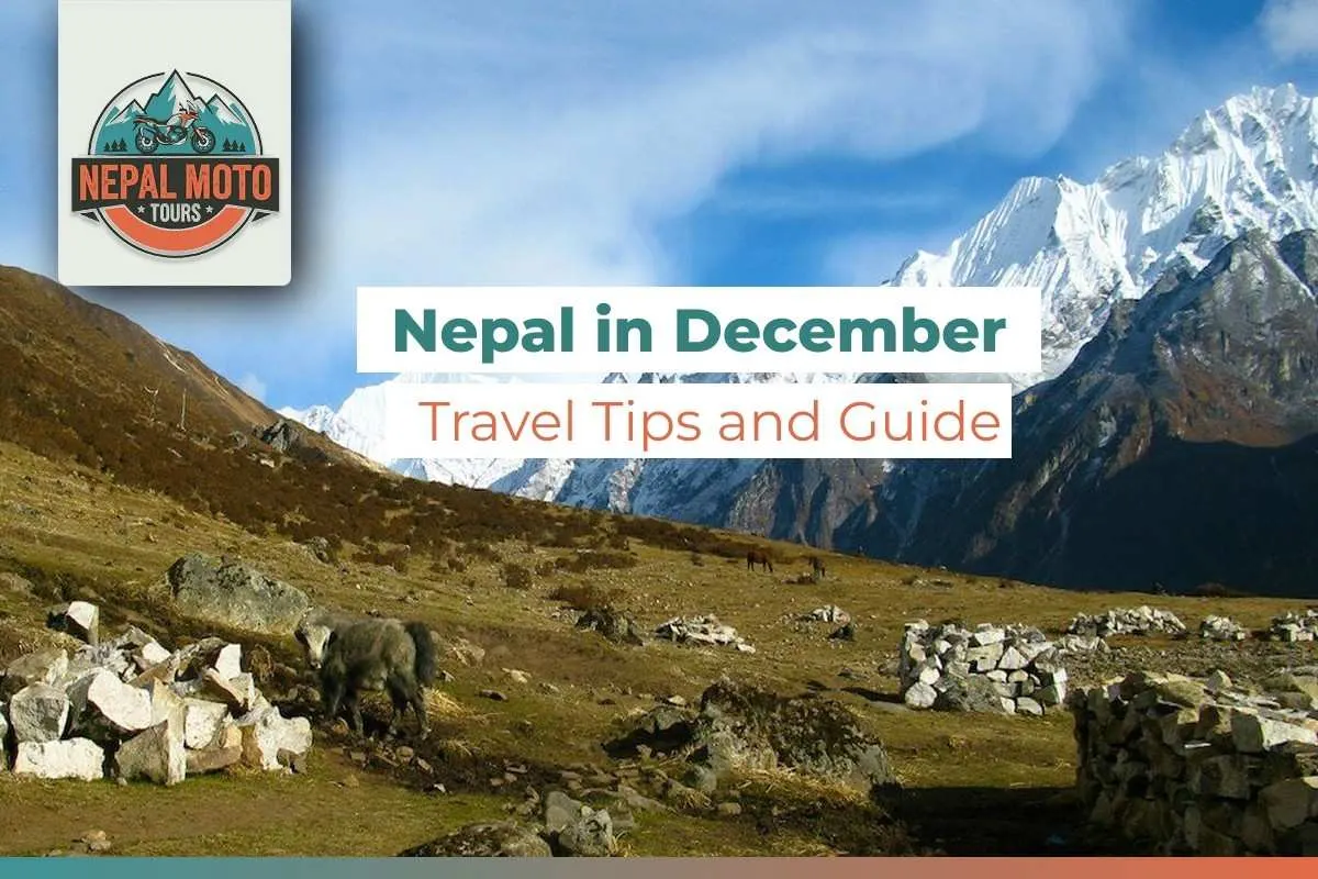 Nepal in January: Travel Guide and Tips